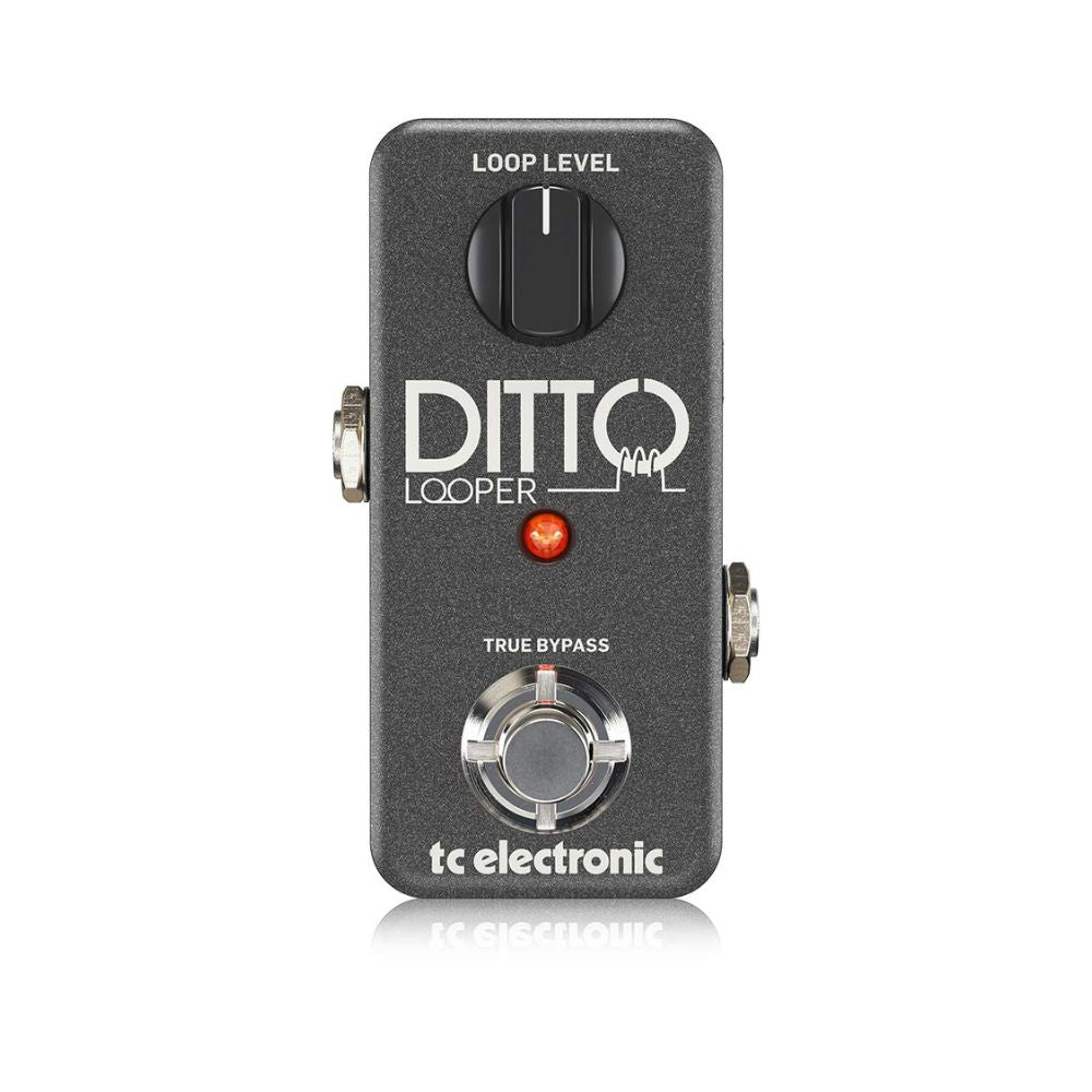 TC Electronic Ditto+ Looper Pedal – Stompbox.in